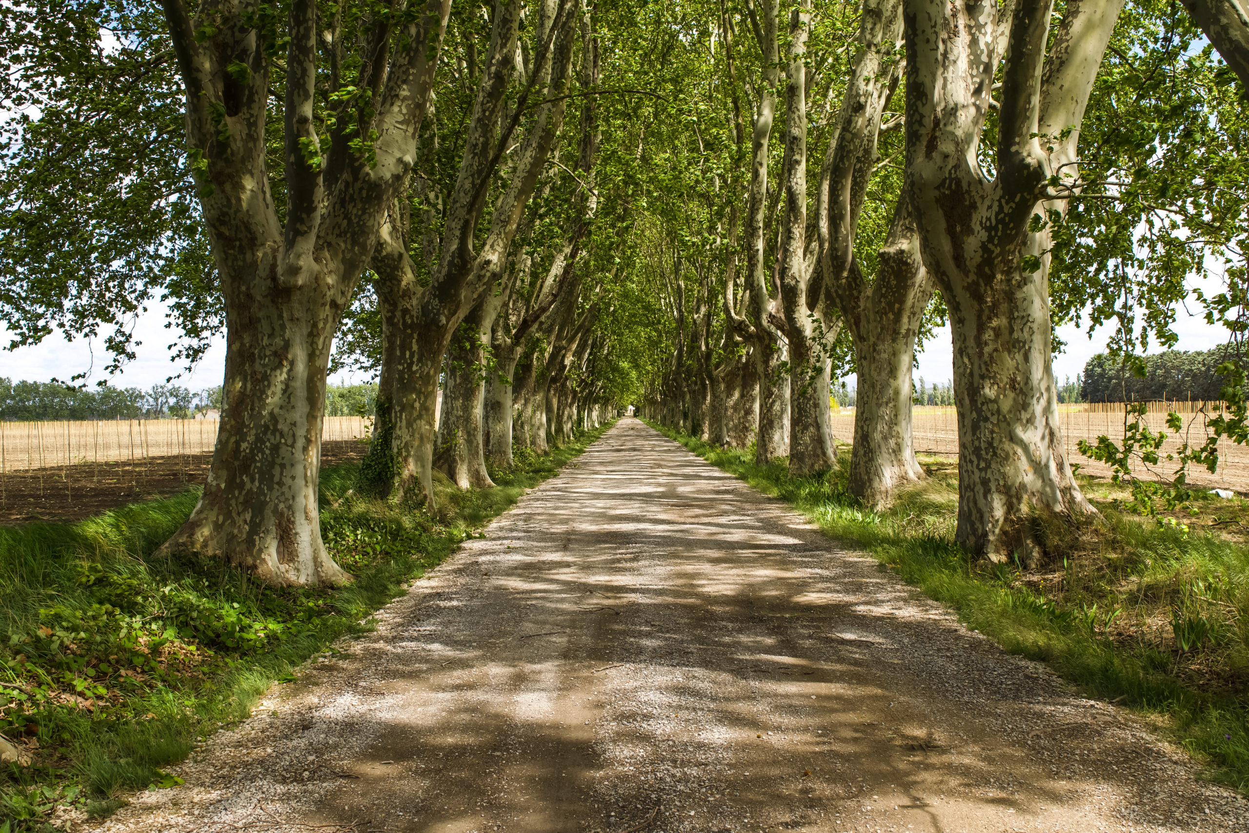 Things to do in Provence - Erin at Large